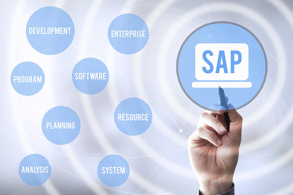 Versiones y tipos de SAP ERP que existen